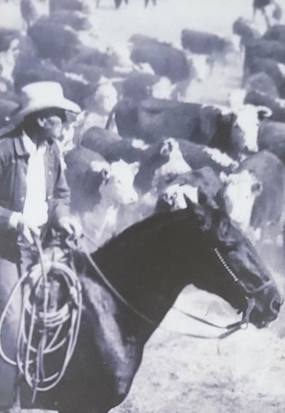 The Rex Allen Museum Willcox Arizona